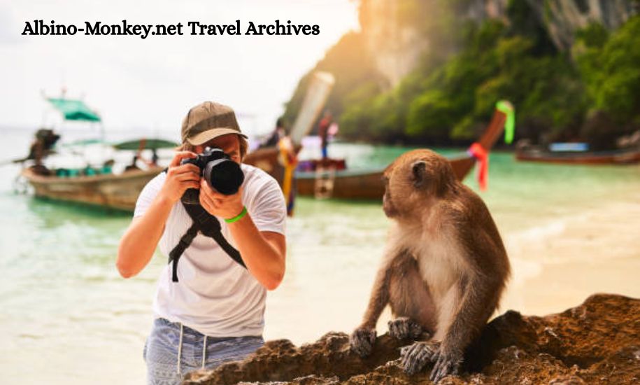 The World Through Albino-Monkey.net Travel Archives